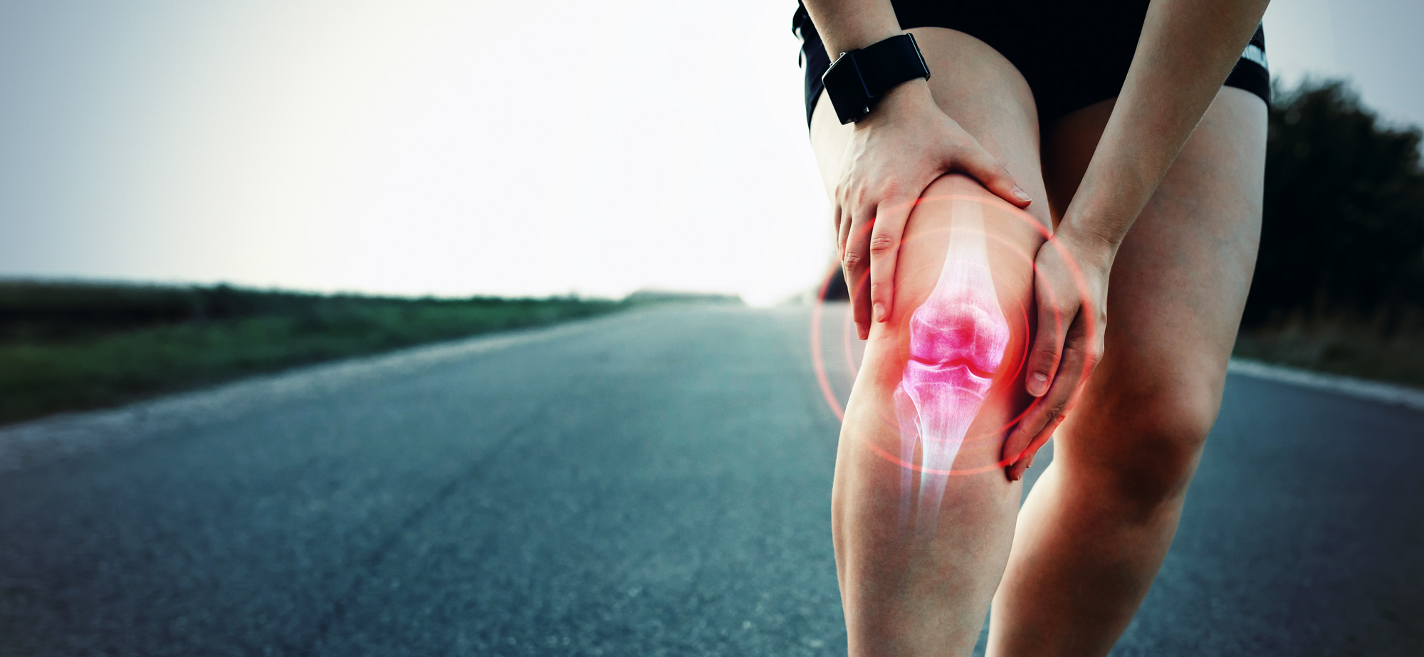 Orthopaedics - ALBOMED.eu