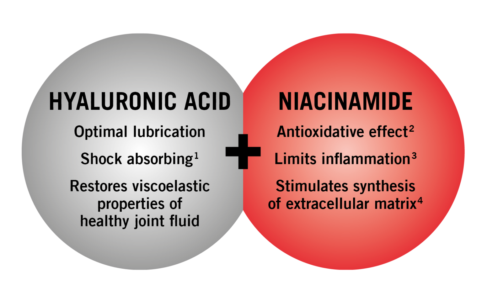 INNORYOS - First visco-booster