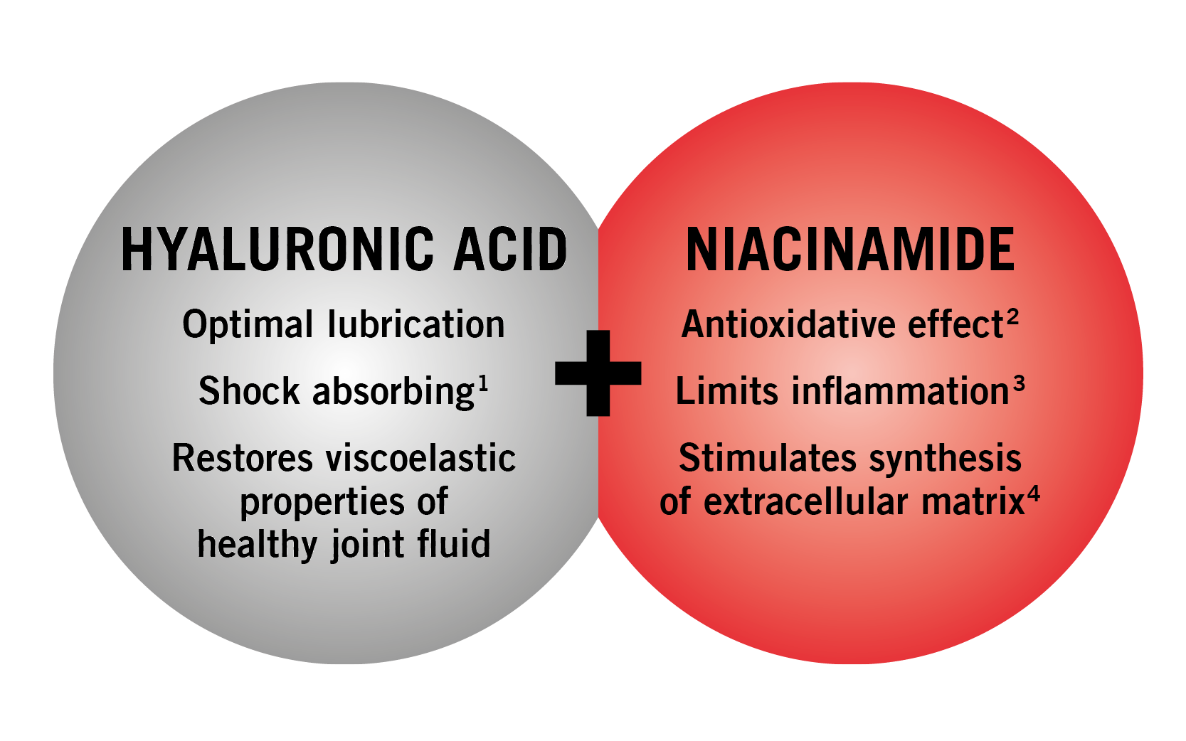 INNORYOS - First visco-booster